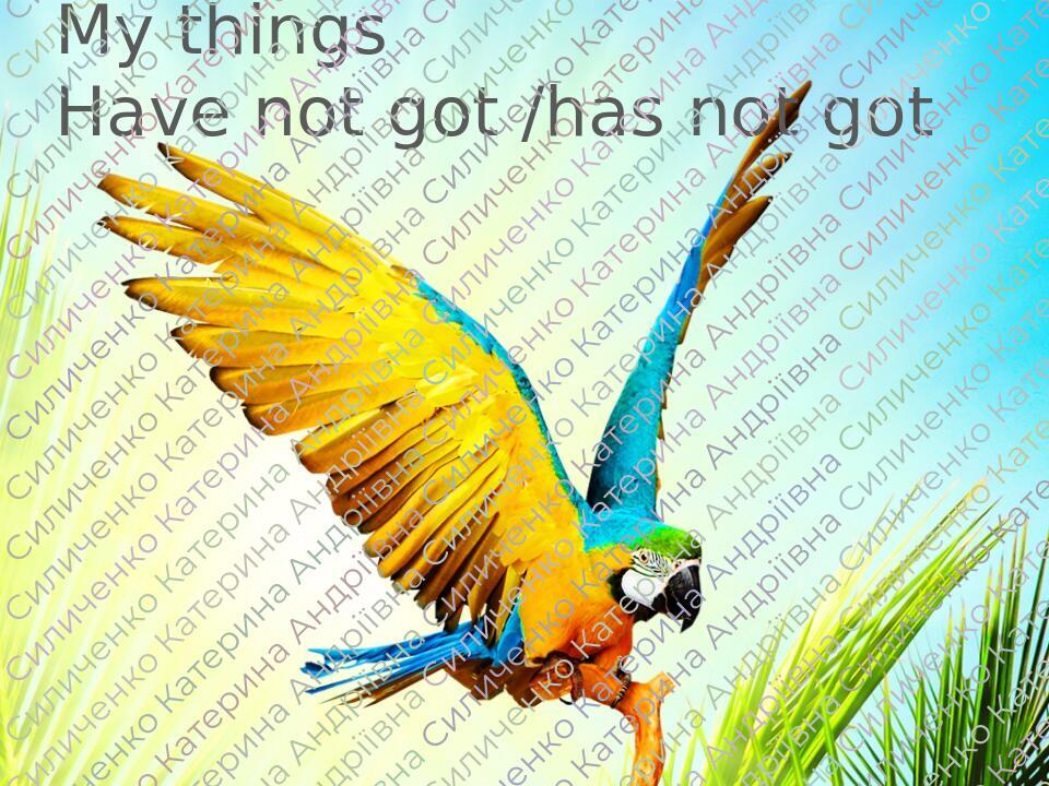 Презентація "My things. Have not got/has not got" | Презентація ...