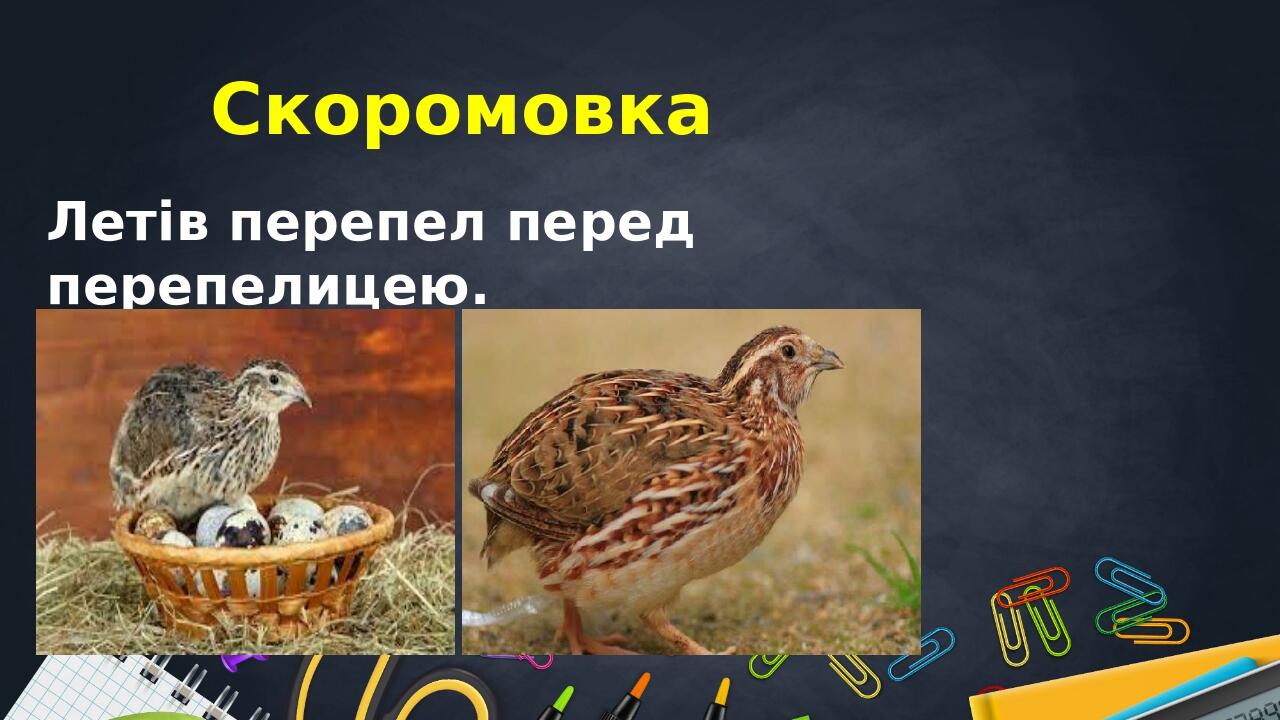 Презентація до уроку Навчання грамоти 1 клас НУШ До підручника М С
