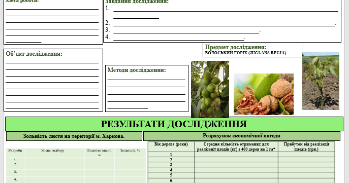 Як робити постер. Шаблон постеру для МАН та екологічного проекту, який ...