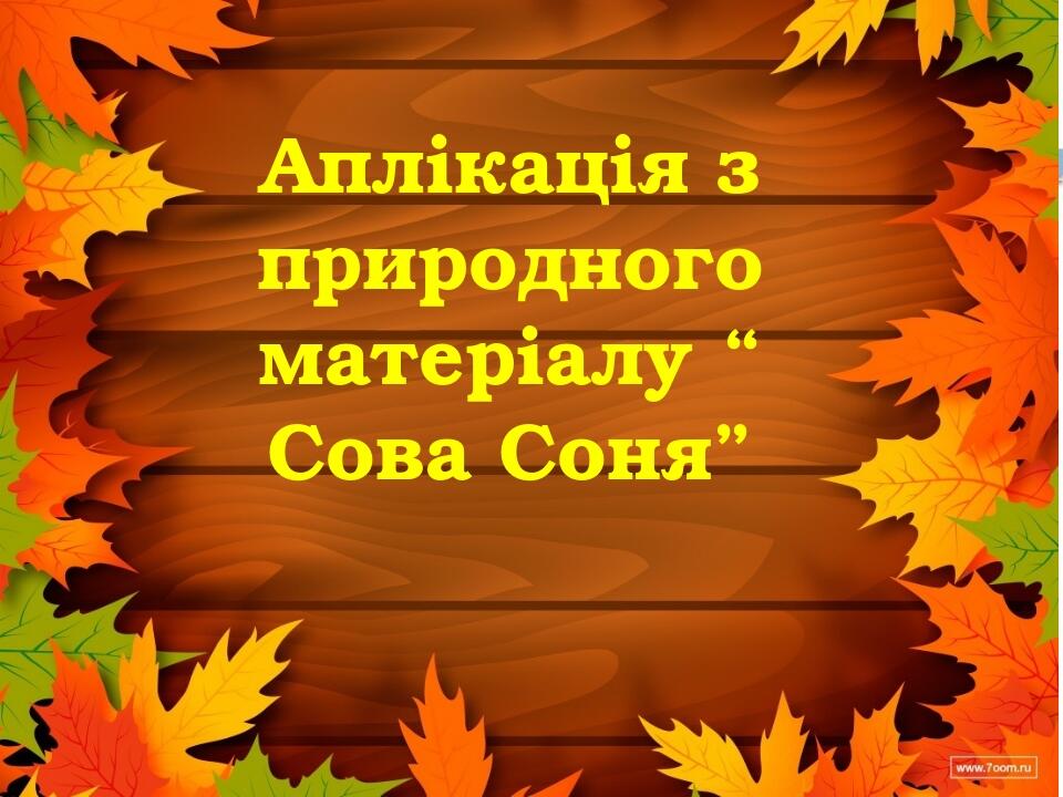 Аплікація з природного матеріалу "Сова Соня" | . Образотворче мистецтво