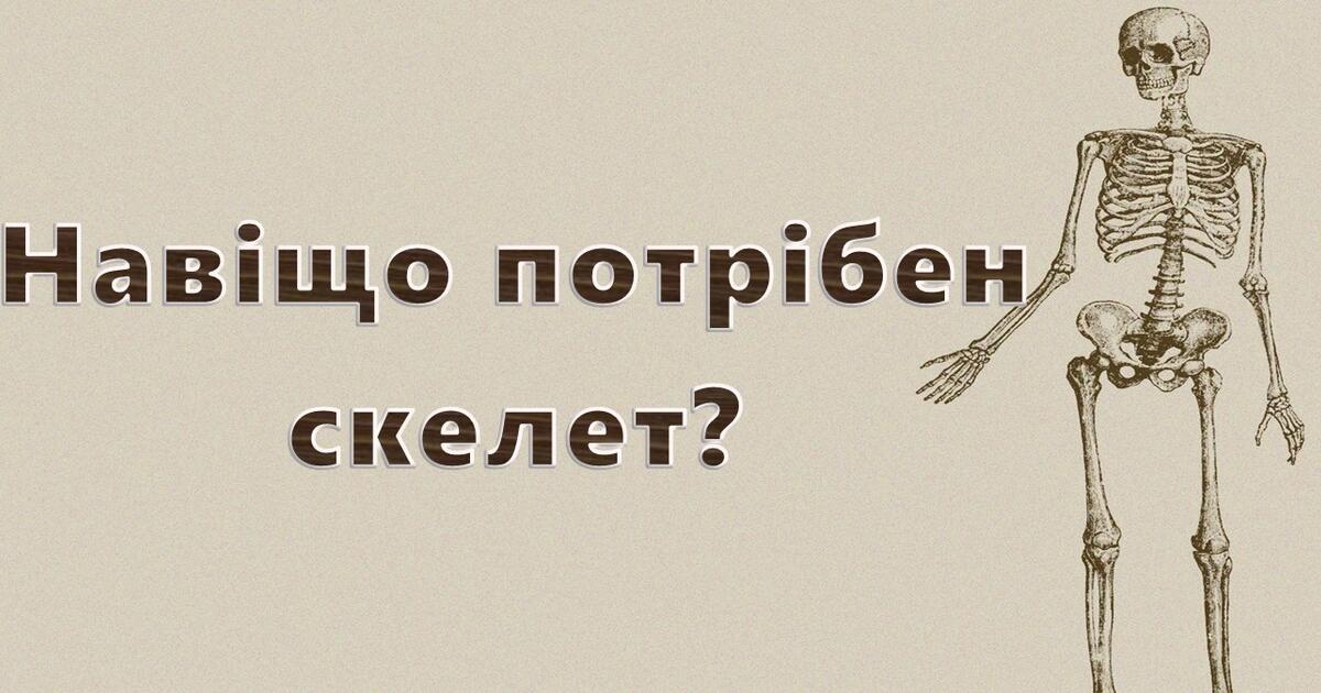 Презентація до уроку Я досліджую світ - Навіщо потрібен скелет? (3 клас ...