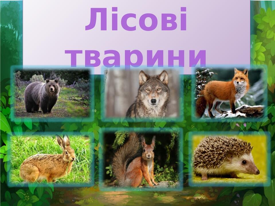 Тема Лісові тварини Презентація Природознавство