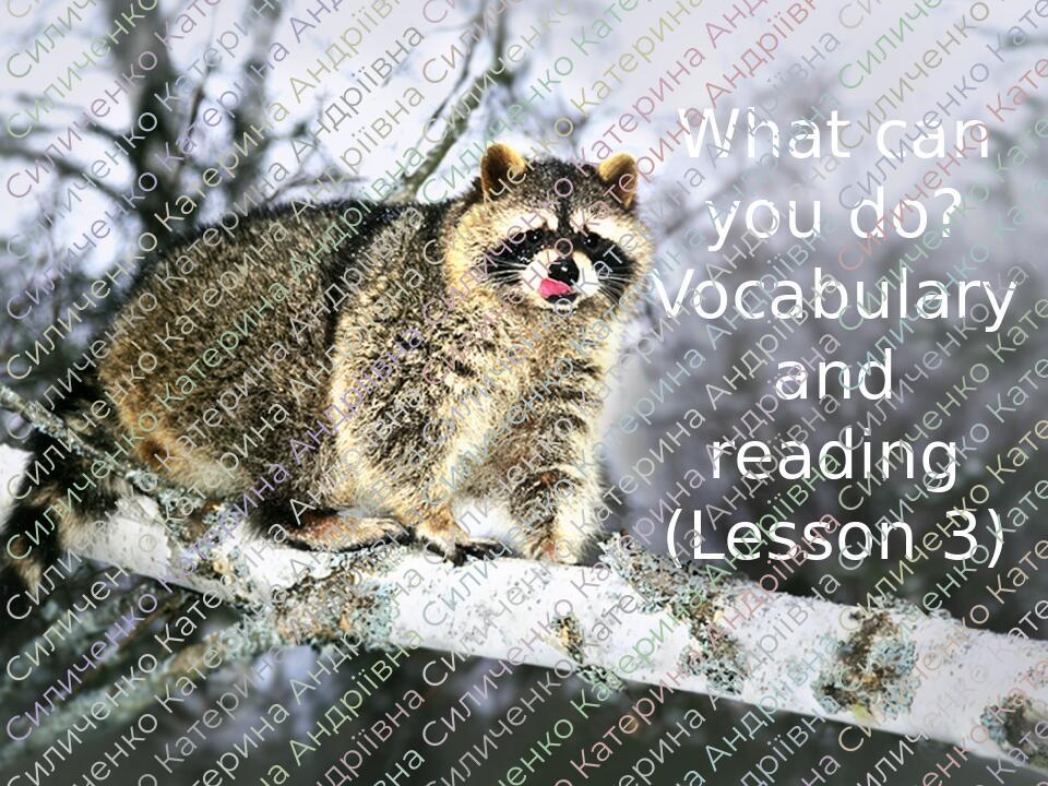 Презентація "What can you do? Vocabulary and Reading (Lesson 3)" | Презентація. Англійська мова