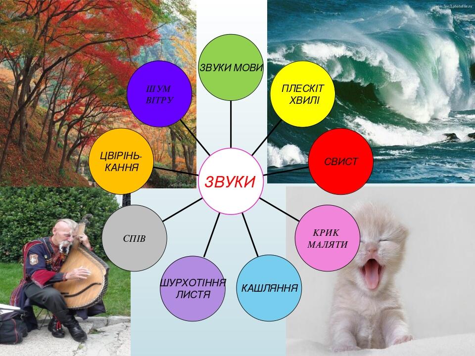 Презентація Звуки мови і звуки мовлення Голосні і приголосні звуки