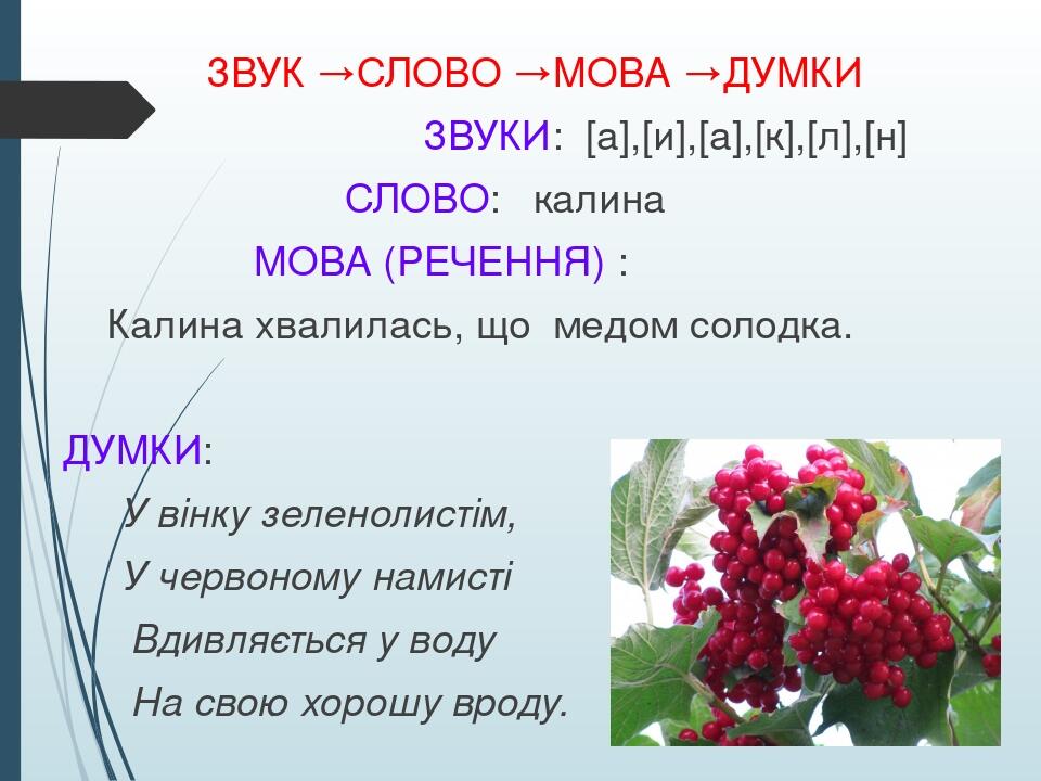 Презентація Звуки мови і звуки мовлення Голосні і приголосні звуки