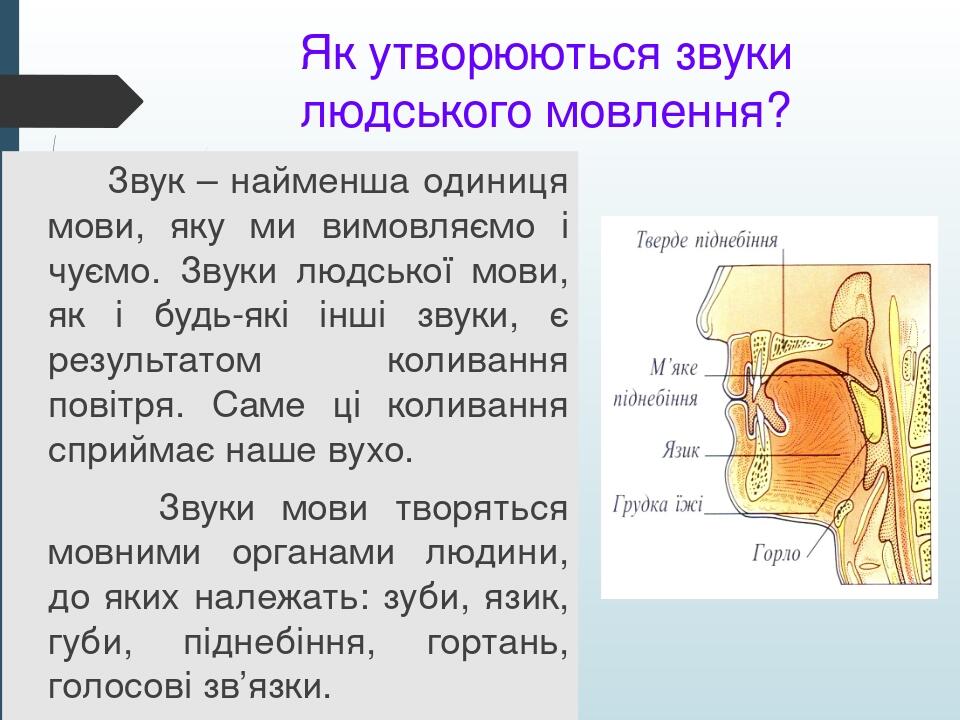 Презентація Звуки мови і звуки мовлення Голосні і приголосні звуки