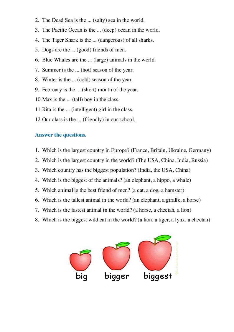 Прикметник в англійській мові Англійська мова