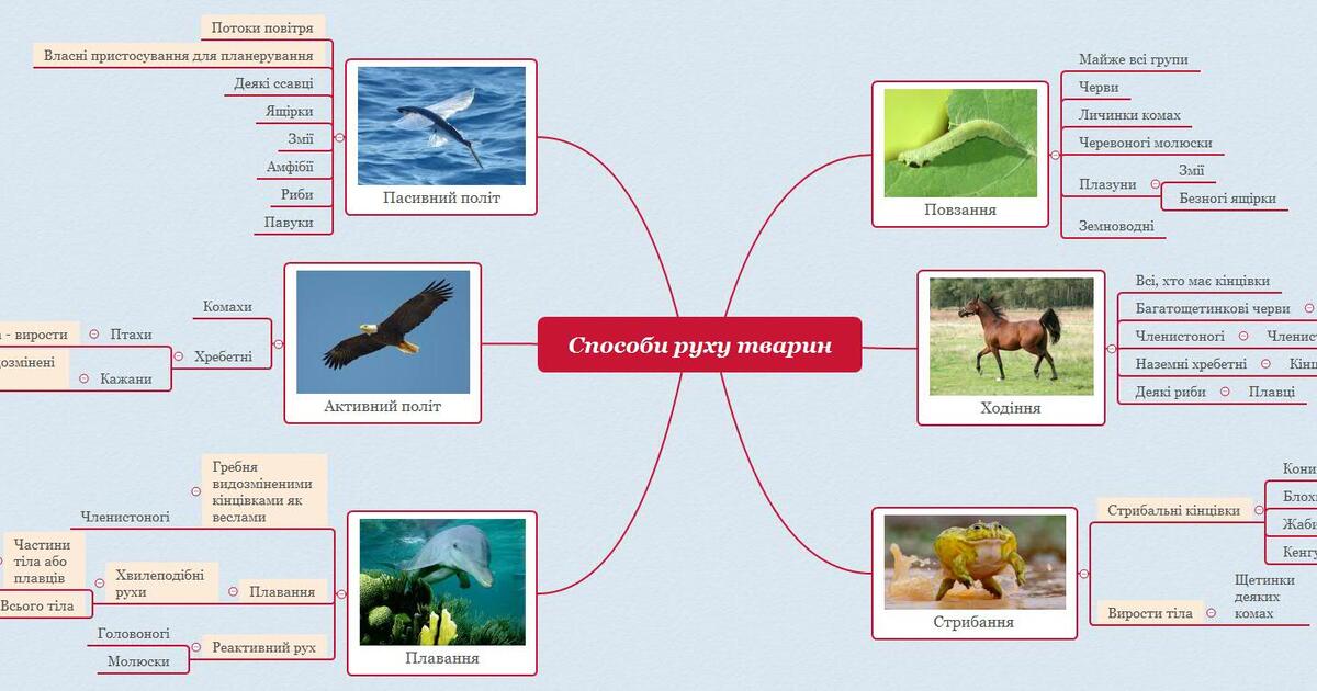 Ментальна карта до уроку "Способи руху тварин" | Ілюстрації. Біологія