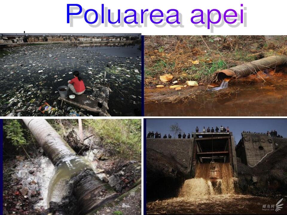 Proiect: ” Apa este izvorul vieții ” | Презентація. Я досліджую світ