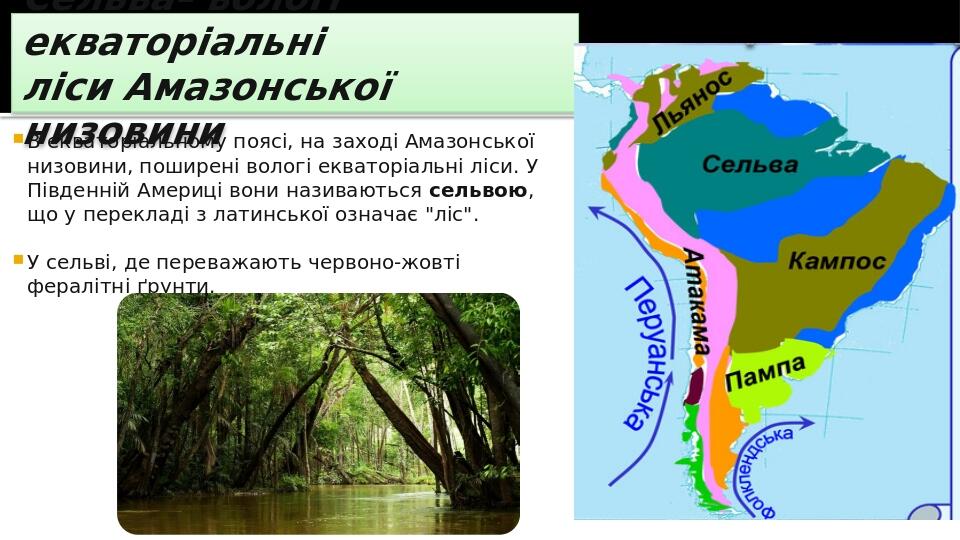 Природні зони Південної Америки Презентація Географія
