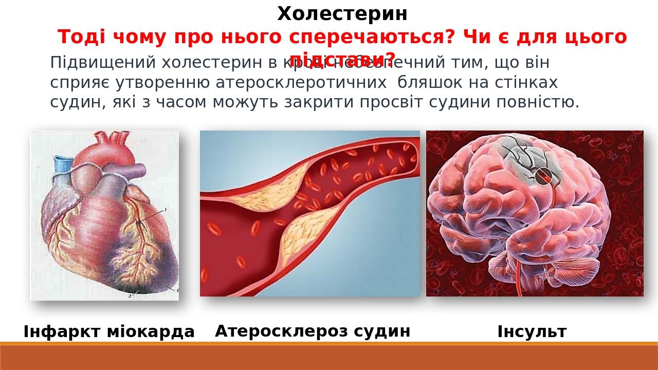 Печінка Презентація 8 клас Презентація Біологія