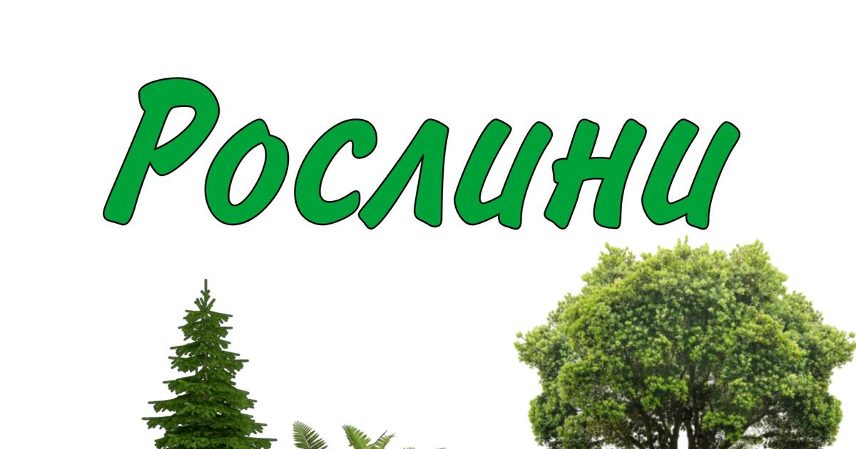 Авторизація