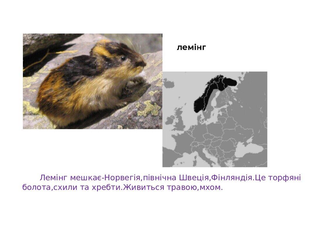 Тварини Європи 2 клас ЯДС Презентація Я досліджую світ
