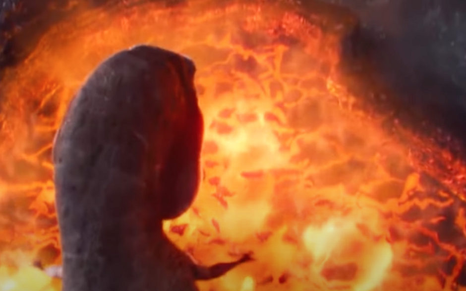 The History Of The Minions | Тест на 9 запитань. Англійська мова