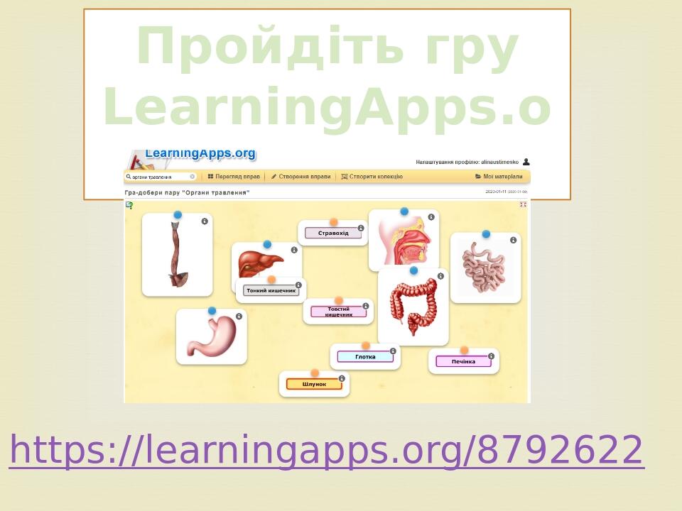 Живлення та дихання тварин Презентація Пізнаємо природу