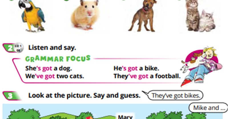 Meet the explorers. Lesson 5. | Презентація. Англійська мова