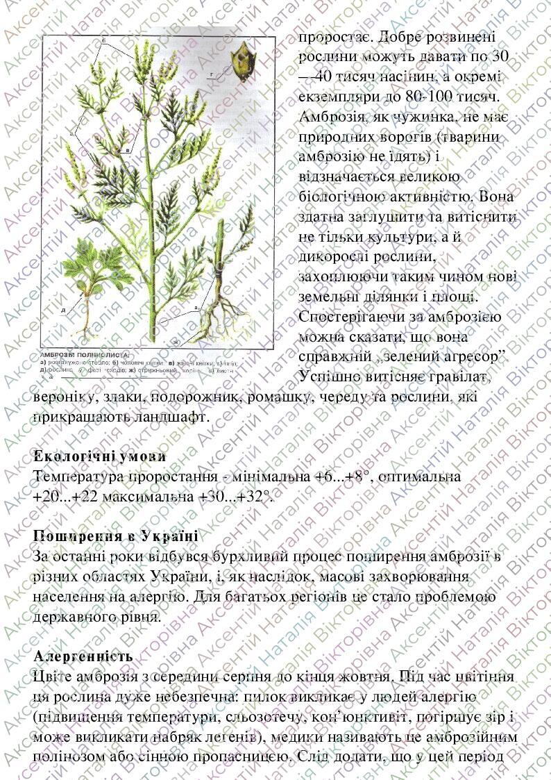 Презентація "Зелений агресор – амброзія полинолиста". | Презентація ...