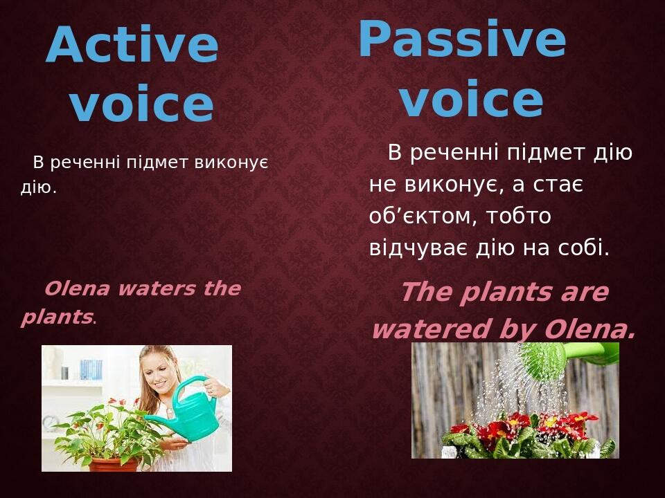 Passive Voice Present Simple | Презентація. Англійська мова