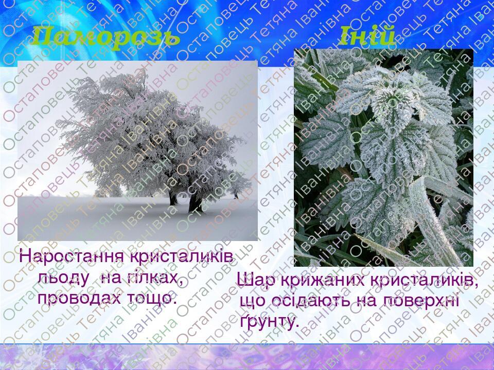 Презентація Види опадів Клімат Презентація Пізнаємо природу