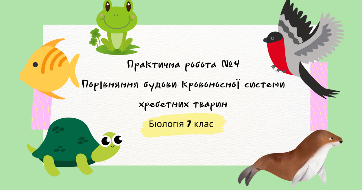Практична робота №4 Порівняння будови кровоносної системи хребетних тварин Презентація Біологія