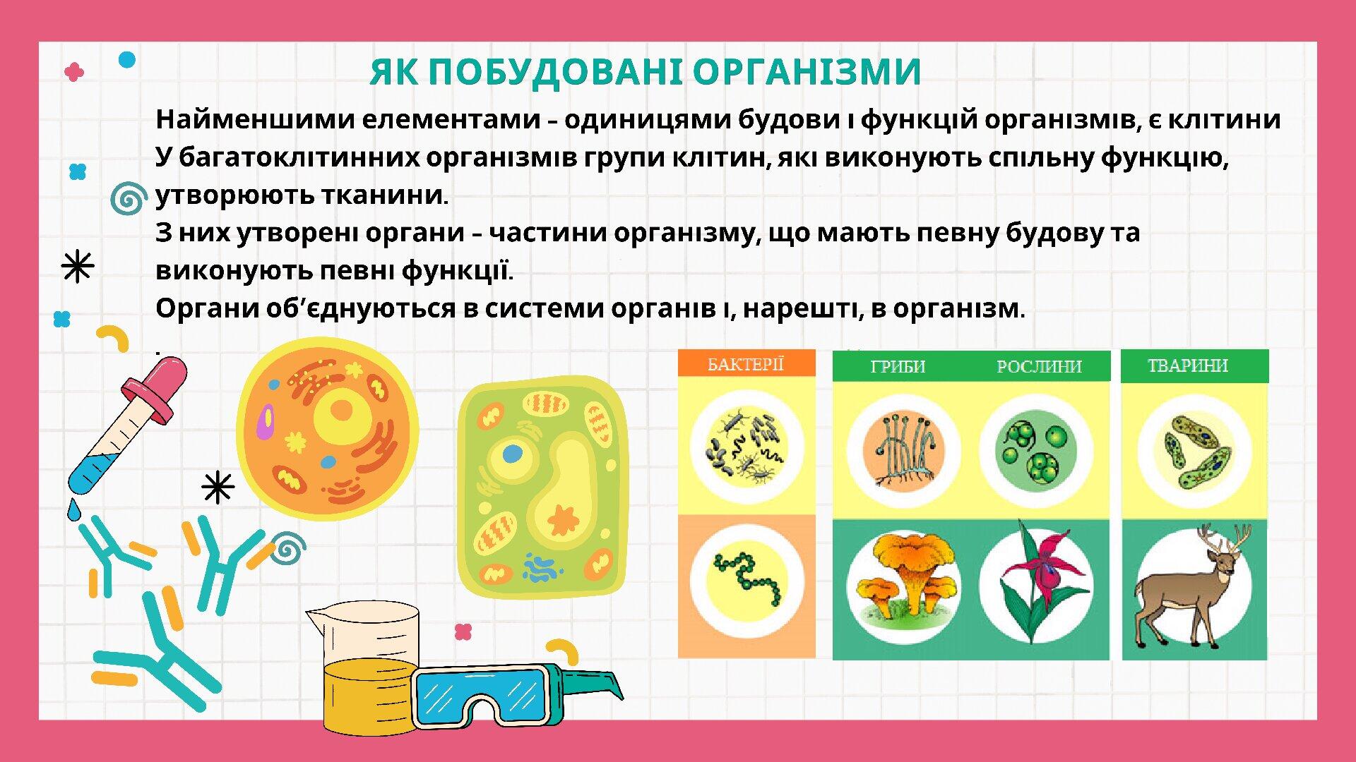 Презентація Які особливості будови різних груп організмівНУШ