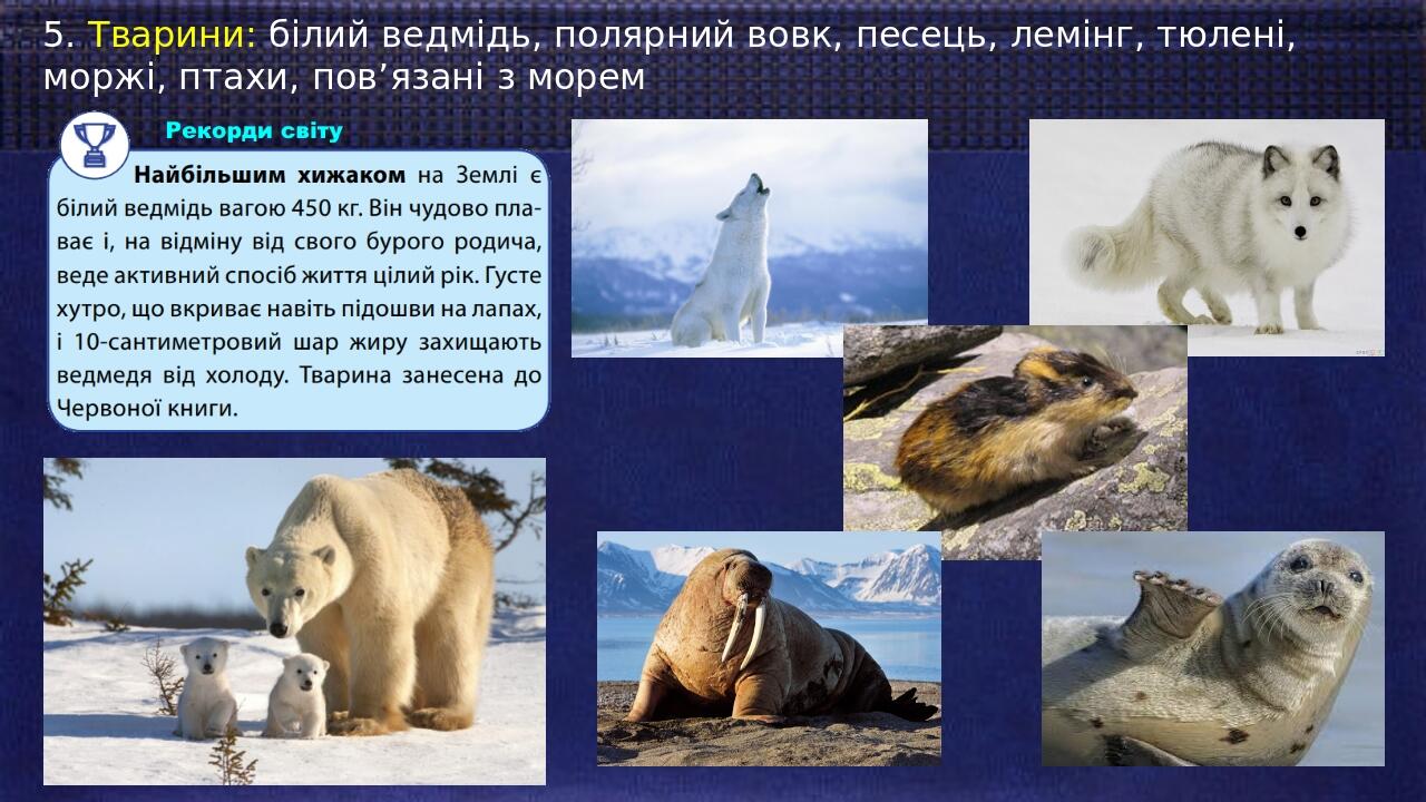 Презентація з географії 7 клас Північна Америка Природні зони Презентація Географія