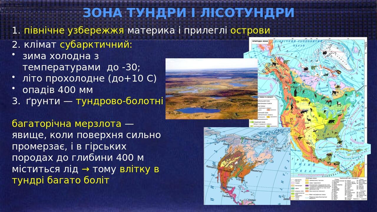 Презентація з географії 7 клас Північна Америка Природні зони
