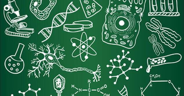 Cercetari de laborator clasa 7 | Конспект. Біологія