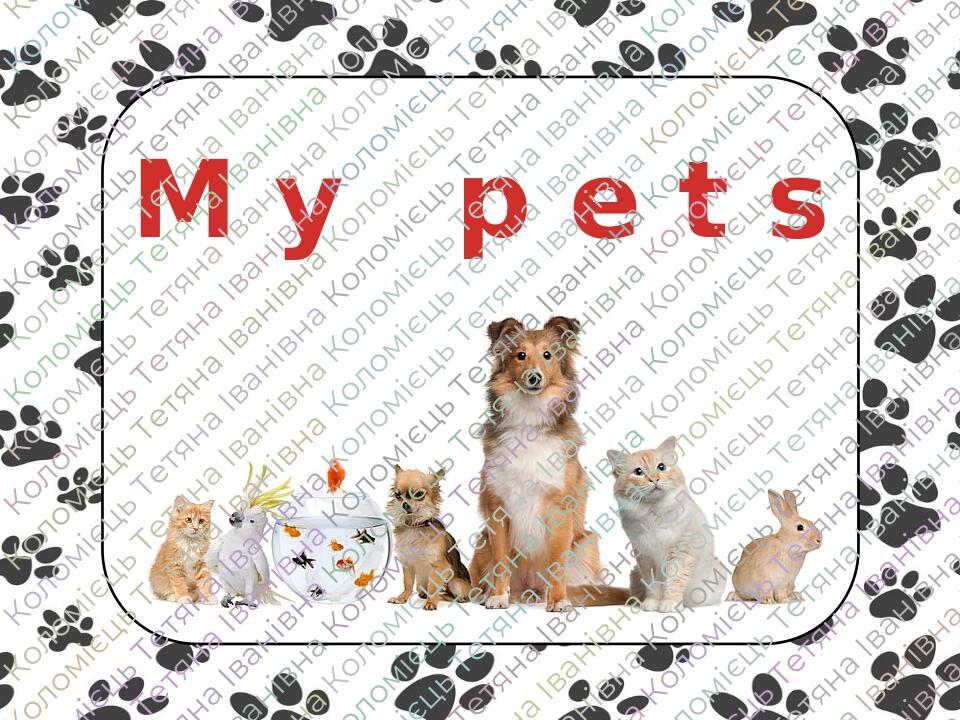 Презентація на тему "My pets" | Інші методичні матеріали. Англійська мова