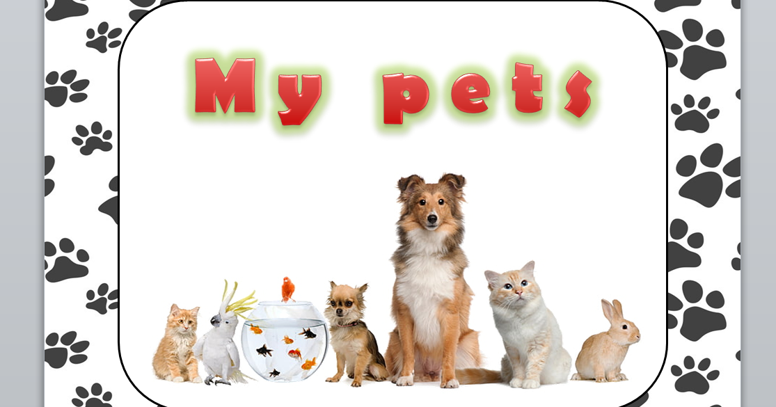 Презентація на тему "My pets" | Інші методичні матеріали. Англійська мова