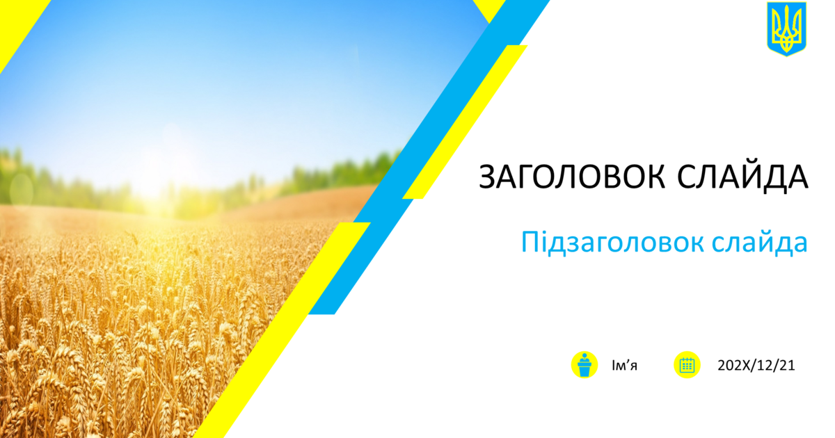 Шаблон презентації в українському стилі 7 Інші методичні матеріали