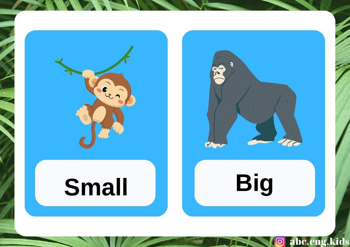 Degrees of comparison. Animals. | Ілюстрації. Англійська мова