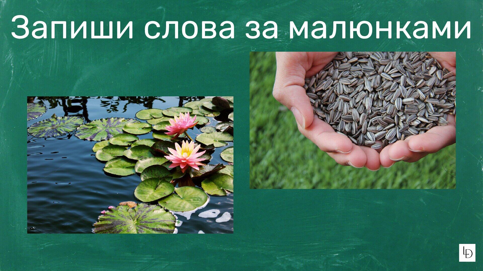 Подвоєння букв на позначення подовжених приголосних 5 клас Презентація Анімована презентація