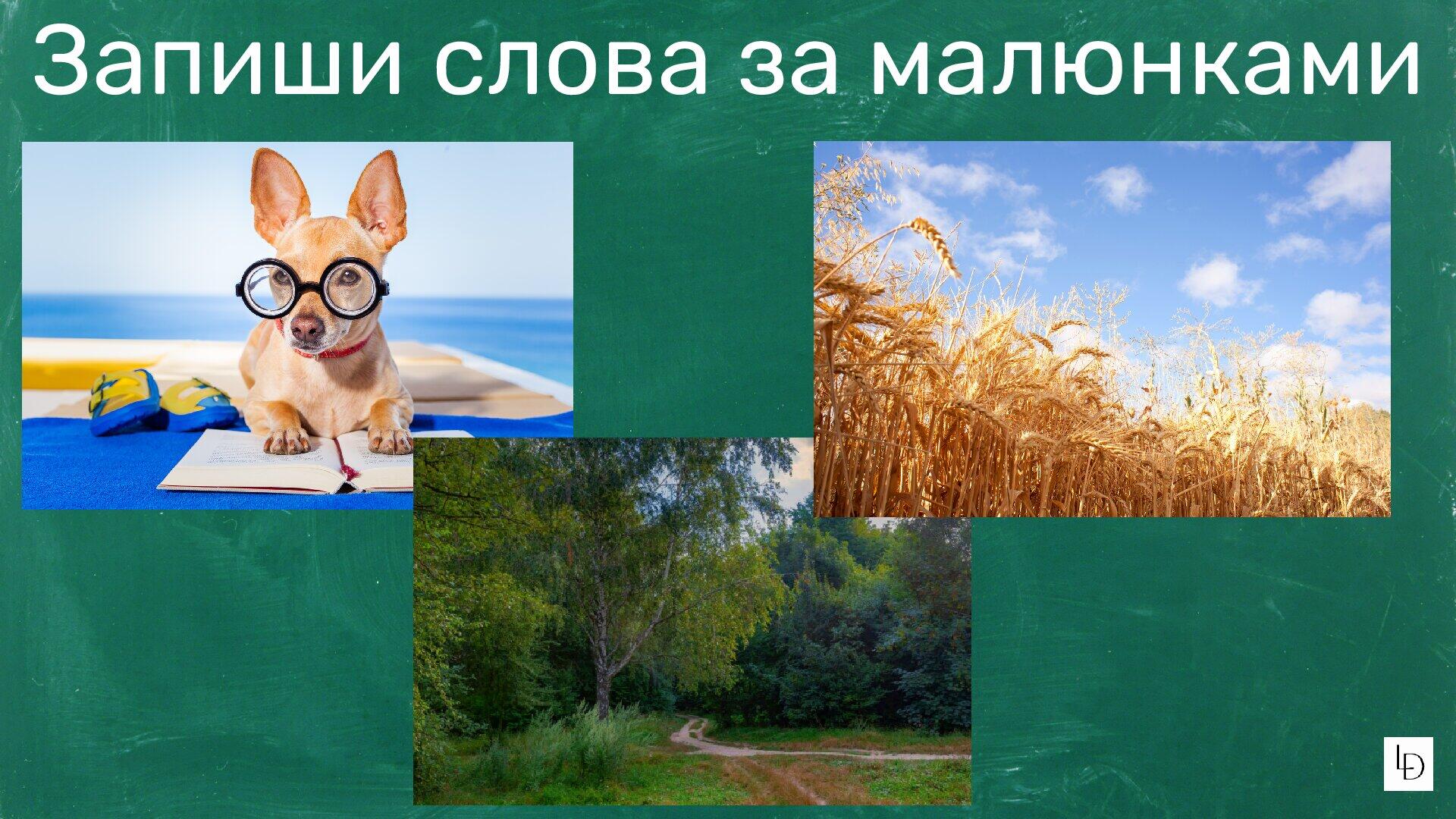 Подвоєння букв на позначення подовжених приголосних 5 клас Презентація Анімована презентація