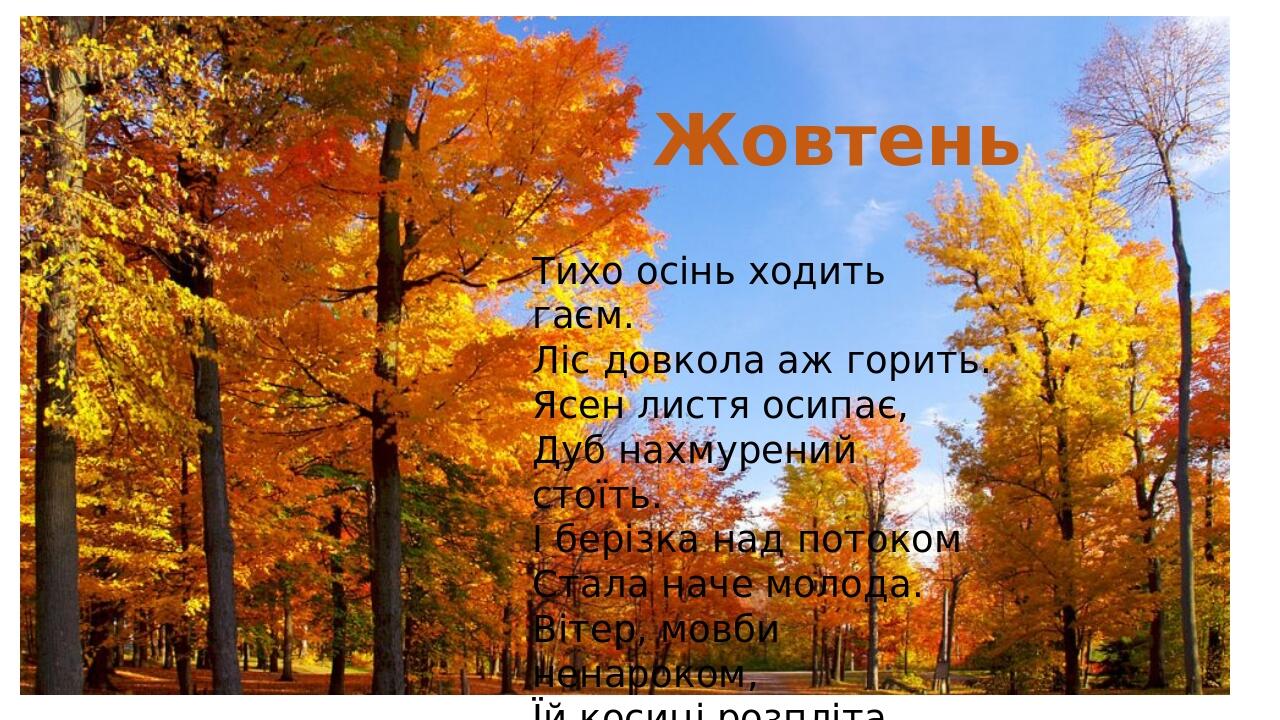Презентація на тему Пори року Презентація Природознавство