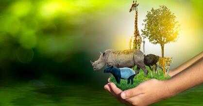 Save the animals | Урок на 1 завдання. Англійська мова