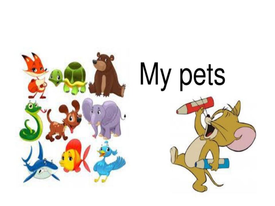 Презентація " My Pets " Мої домашні улюбленці. | Презентація. Англійська мова