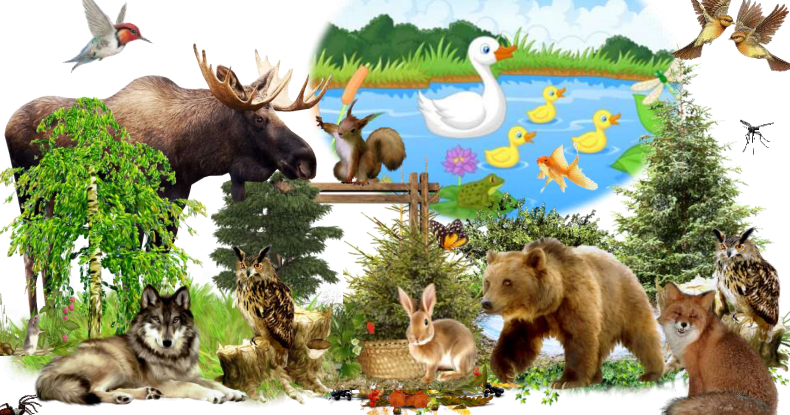 Урок "Які бувають тварини?" | Конспект. Я досліджую світ