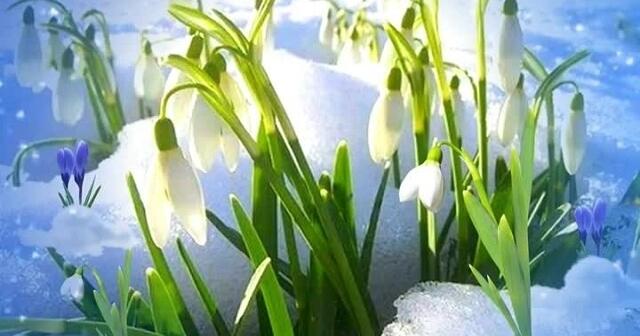 UNIT 6 HELLO SPRING! ЗДРАВСТУЙ, ВЕСНО! Пори року. ст.118 | Урок на 4 ...