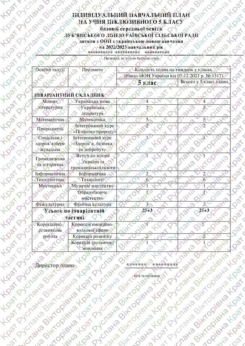 Індивідуальний навчальний план для учня з ООП 5 клас НУШ Інші методичні матеріали
