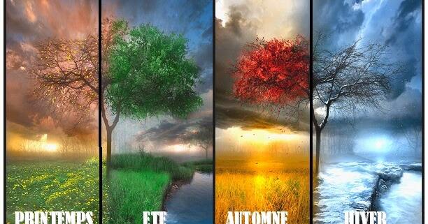 Les saisons en France | Урок на 3 завдання. Французька мова