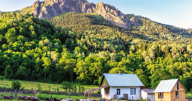 Production orale "La vie en ville et à la campagne" | Урок на 1 ...