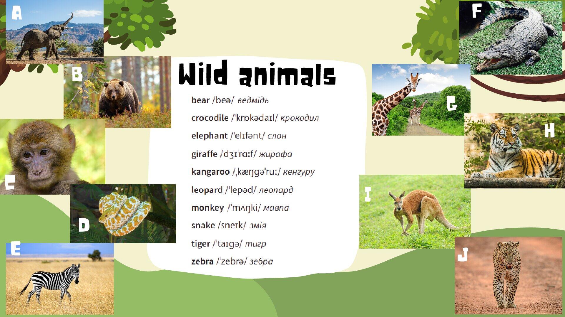 Prepare NUS 5. Unit 20. Animals. Lesson 1. | Презентація. Англійська мова