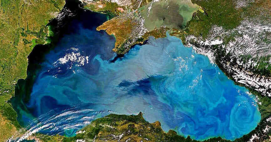 Чорне та Азовське море | Тест на 12 запитань. Географія
