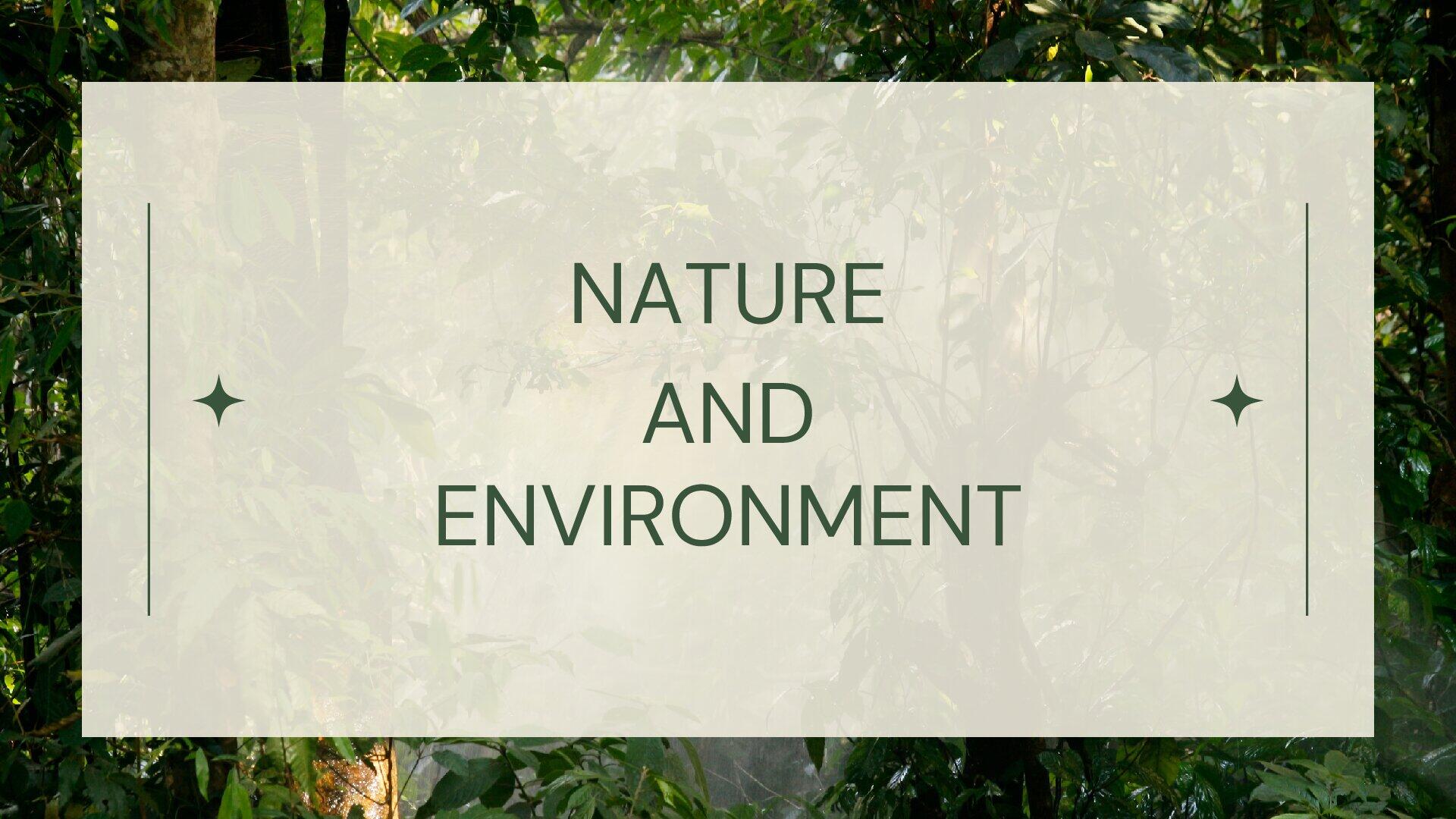 Презентація до уроку англійської мови у 10 класі за темою "Nature and ...